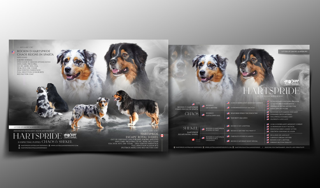 EHA GRAPHICS - DESIGN FOR BREEDERS AND STUD OWNERS