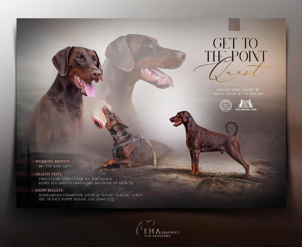 EHA GRAPHICS - DESIGN FOR BREEDERS AND STUD OWNERS