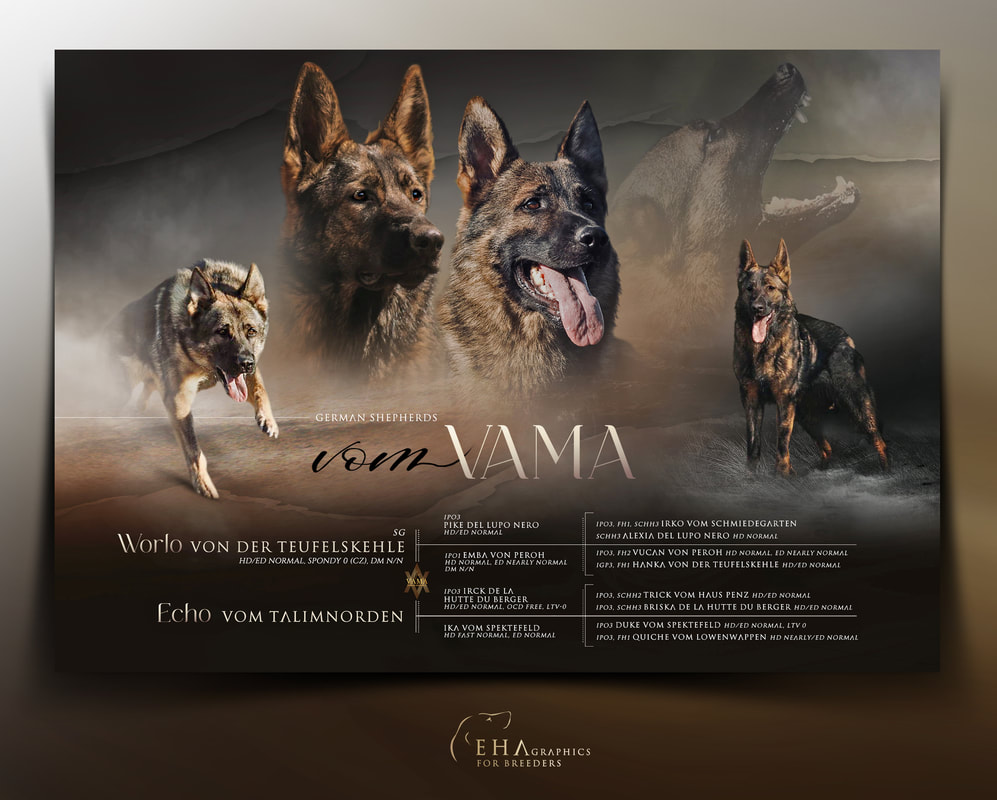 EHA GRAPHICS - DESIGN FOR BREEDERS AND STUD OWNERS