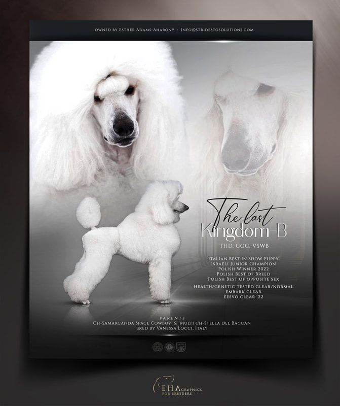 EHA GRAPHICS - DESIGN FOR BREEDERS AND STUD OWNERS
