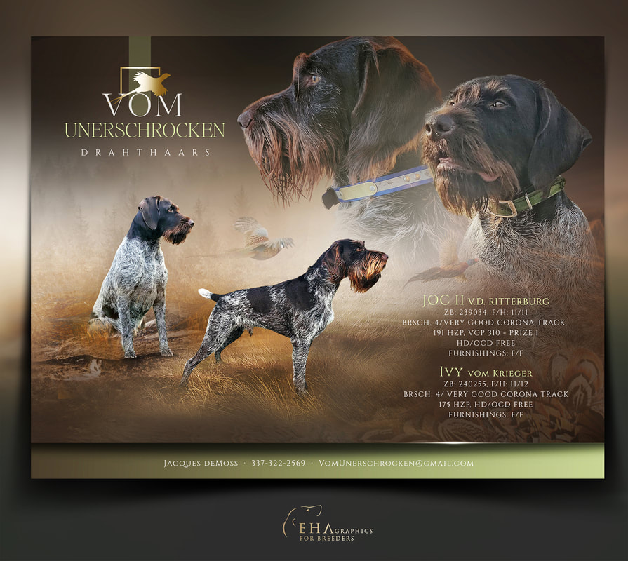 EHA GRAPHICS - DESIGN FOR BREEDERS AND STUD OWNERS