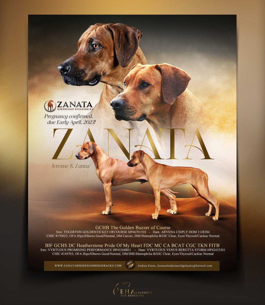 EHA GRAPHICS - DESIGN FOR BREEDERS AND STUD OWNERS