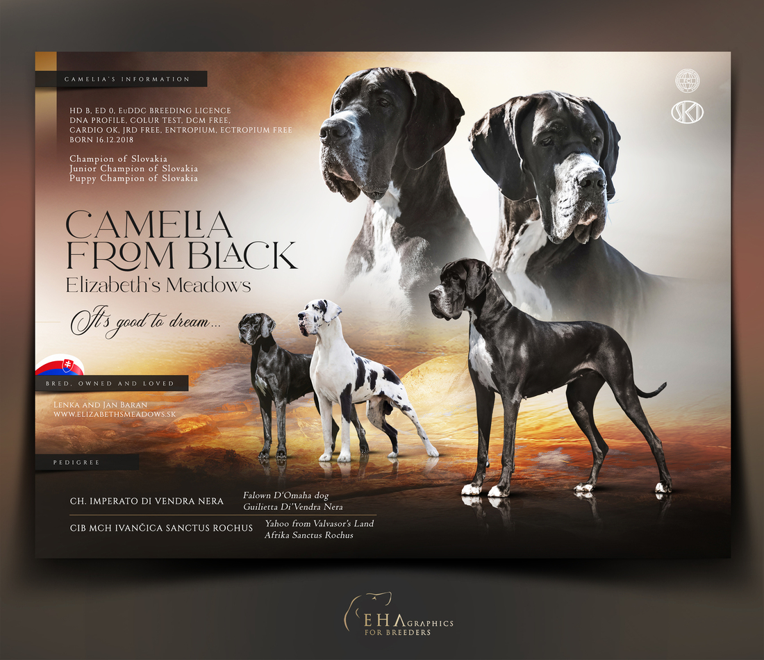 EHA GRAPHICS - DESIGN FOR BREEDERS AND STUD OWNERS