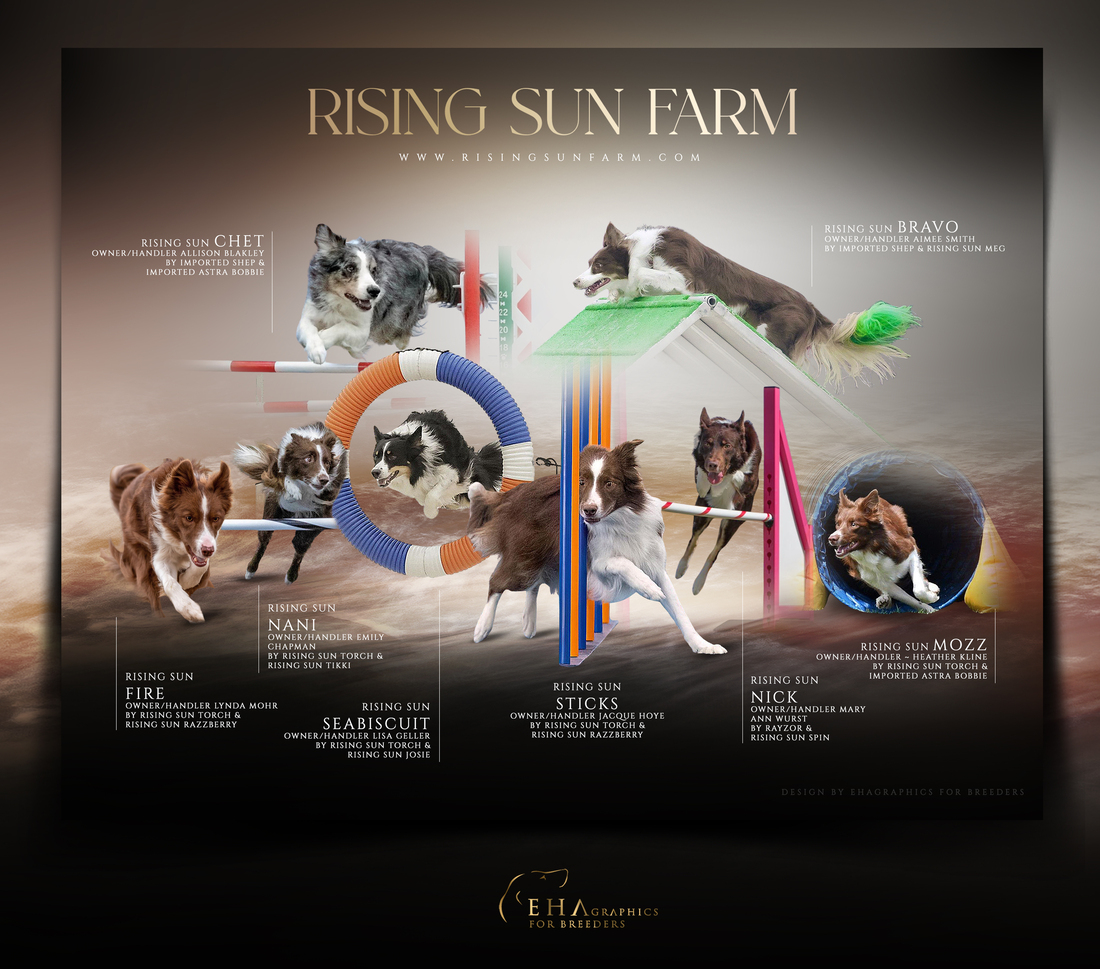 EHA GRAPHICS - DESIGN FOR BREEDERS AND STUD OWNERS