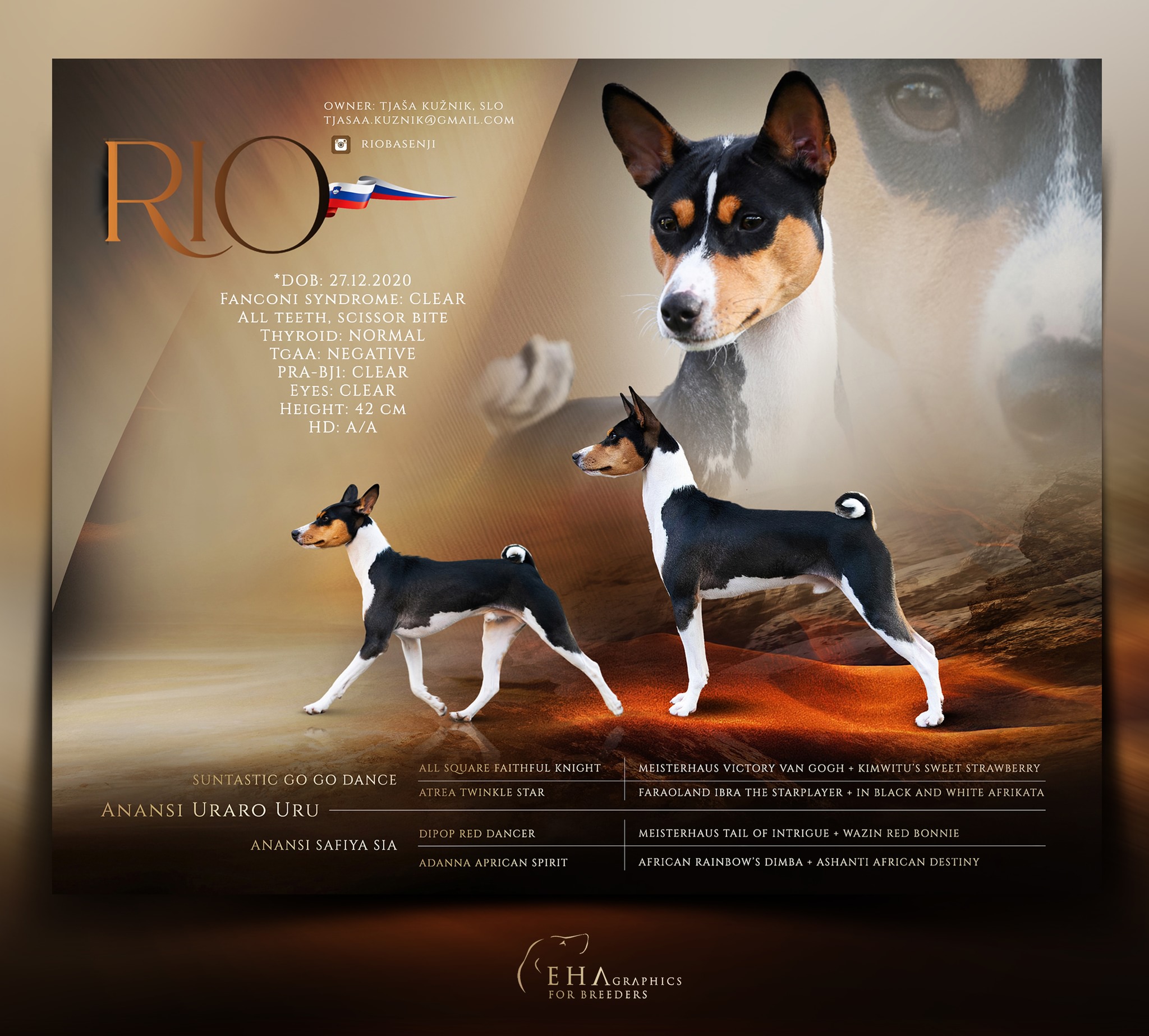 EHA GRAPHICS - DESIGN FOR BREEDERS AND STUD OWNERS