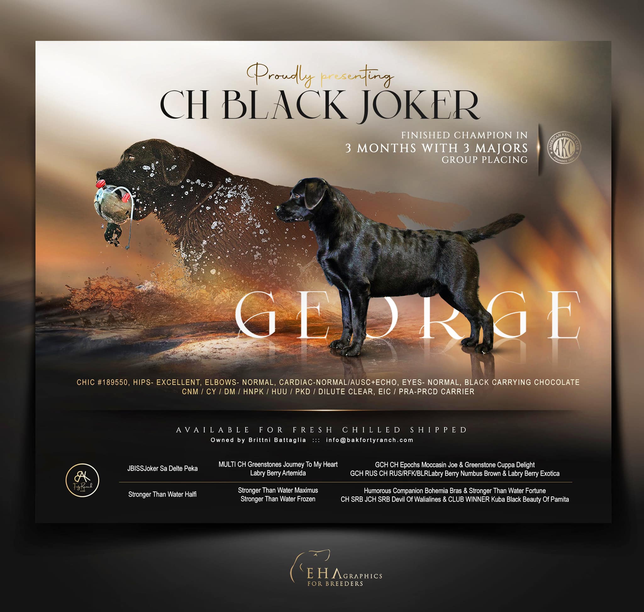 EHA GRAPHICS - DESIGN FOR BREEDERS AND STUD OWNERS