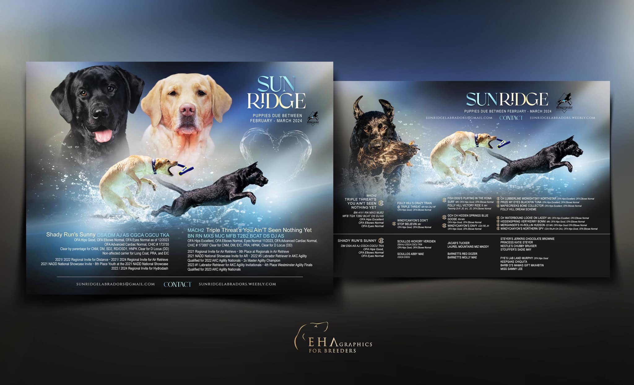 EHA GRAPHICS - DESIGN FOR BREEDERS AND STUD OWNERS