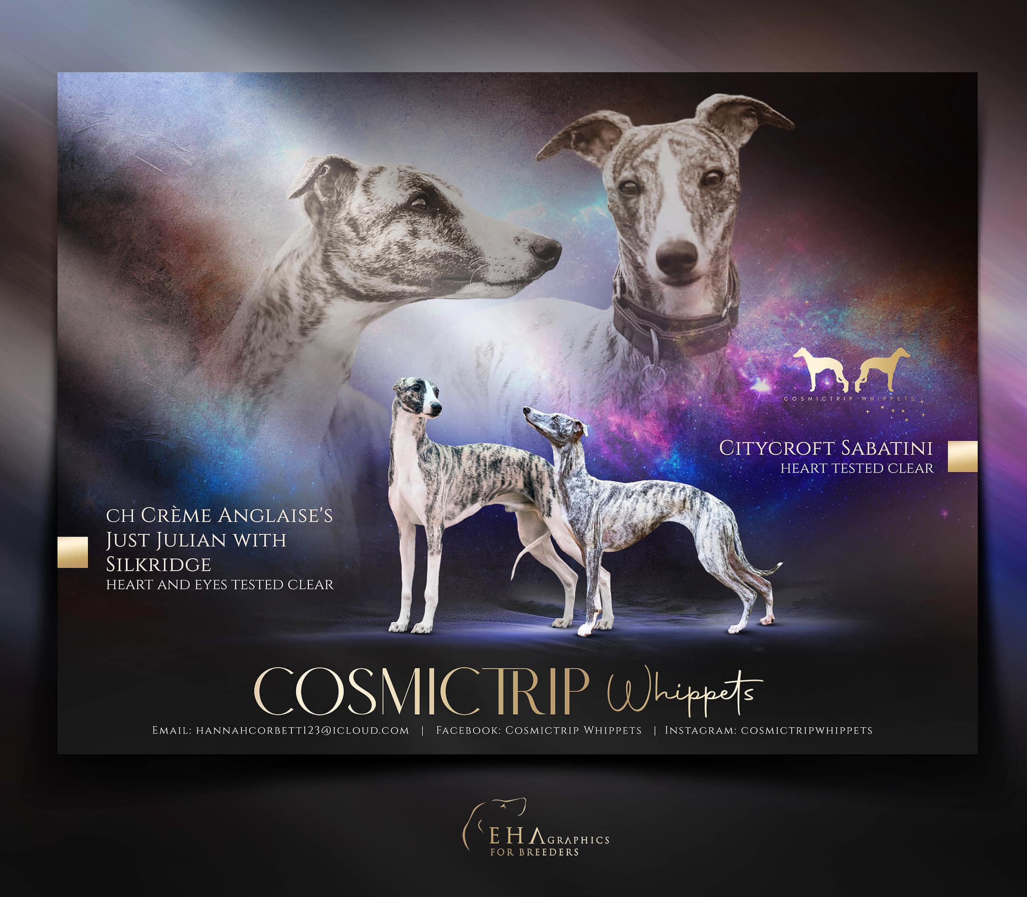 EHA GRAPHICS - DESIGN FOR BREEDERS AND STUD OWNERS